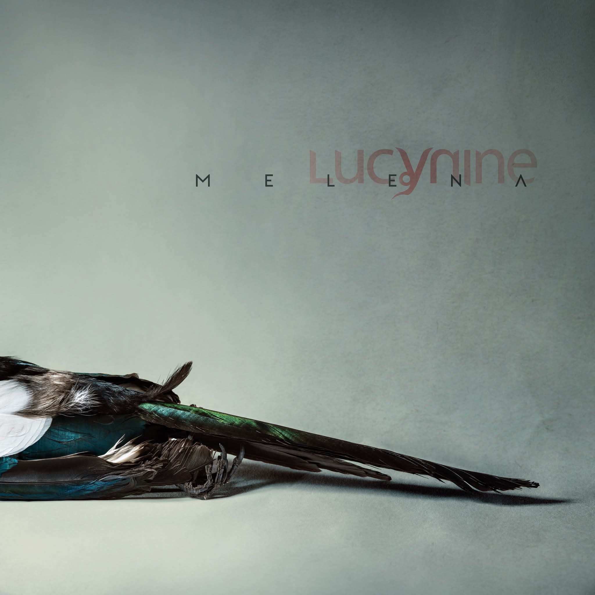 Lucynine – Melena 2025 – Review by Felin Frost – BLACK METAL CULT